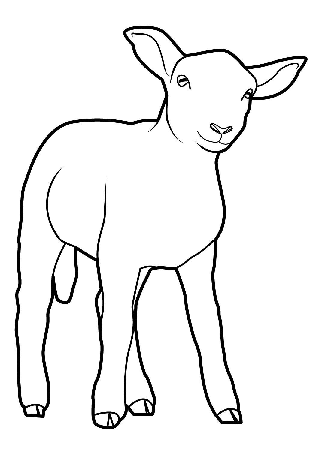 Mouton 5 - Coloriages Animaux - Moutons