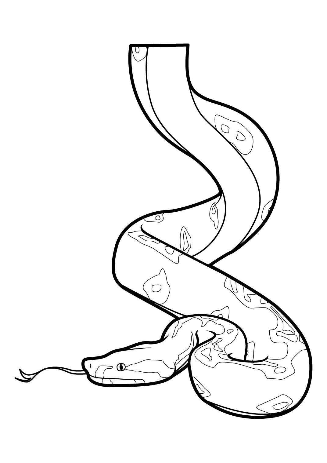 Serpent 2 - Coloriages Animaux - Serpents Serpent 2 - Coloriages Animaux - Serpents