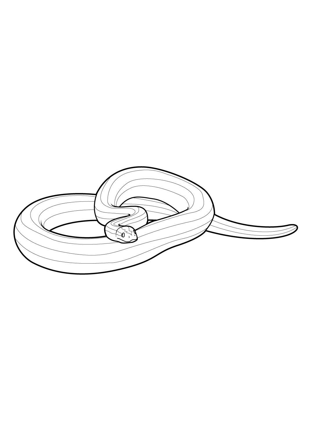 Serpent 5 - Coloriages Animaux - Serpents