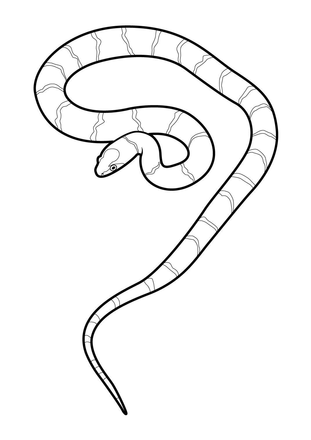 Serpent 6 - Coloriages Animaux - Serpents Serpent 6 - Coloriages Animaux - Serpents