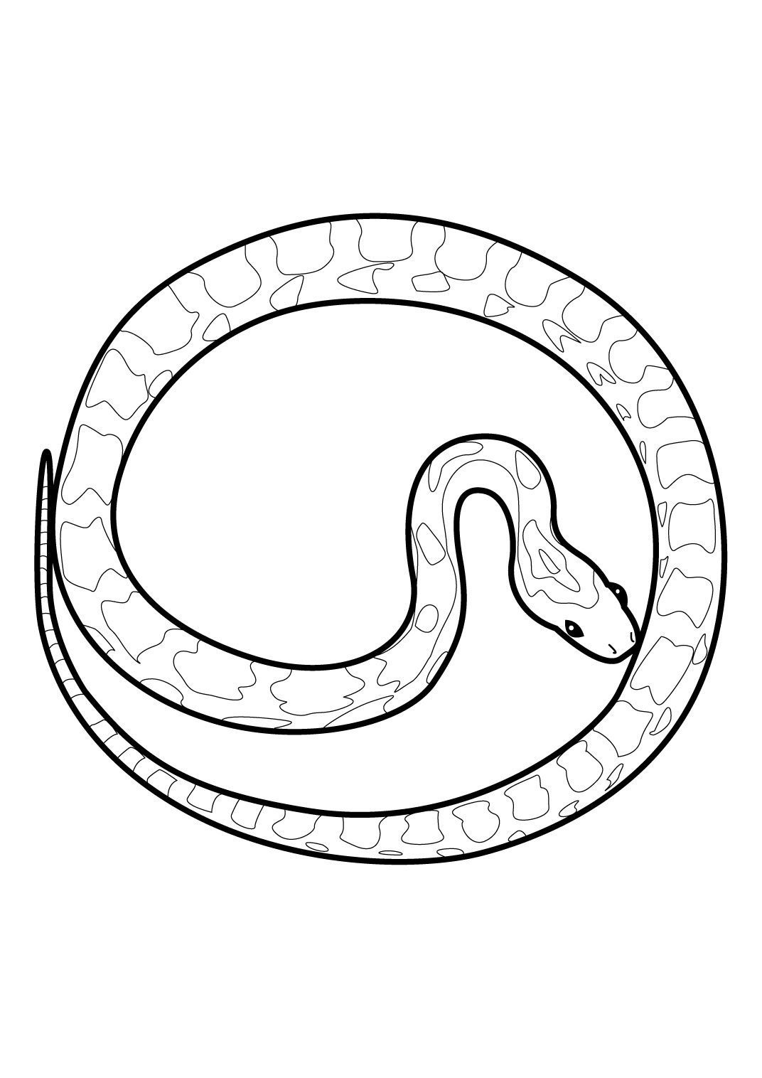 Coloriage Serpent 9 - Coloriage Serpents - Coloriages Animaux
