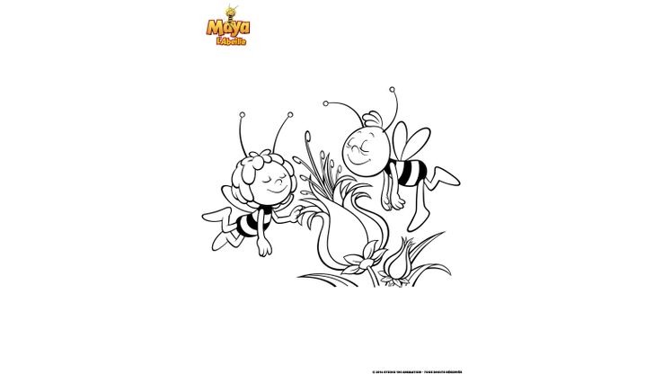 Maya et Willy adorent les fleurs - Coloriages Dessins animes - Maya l ...