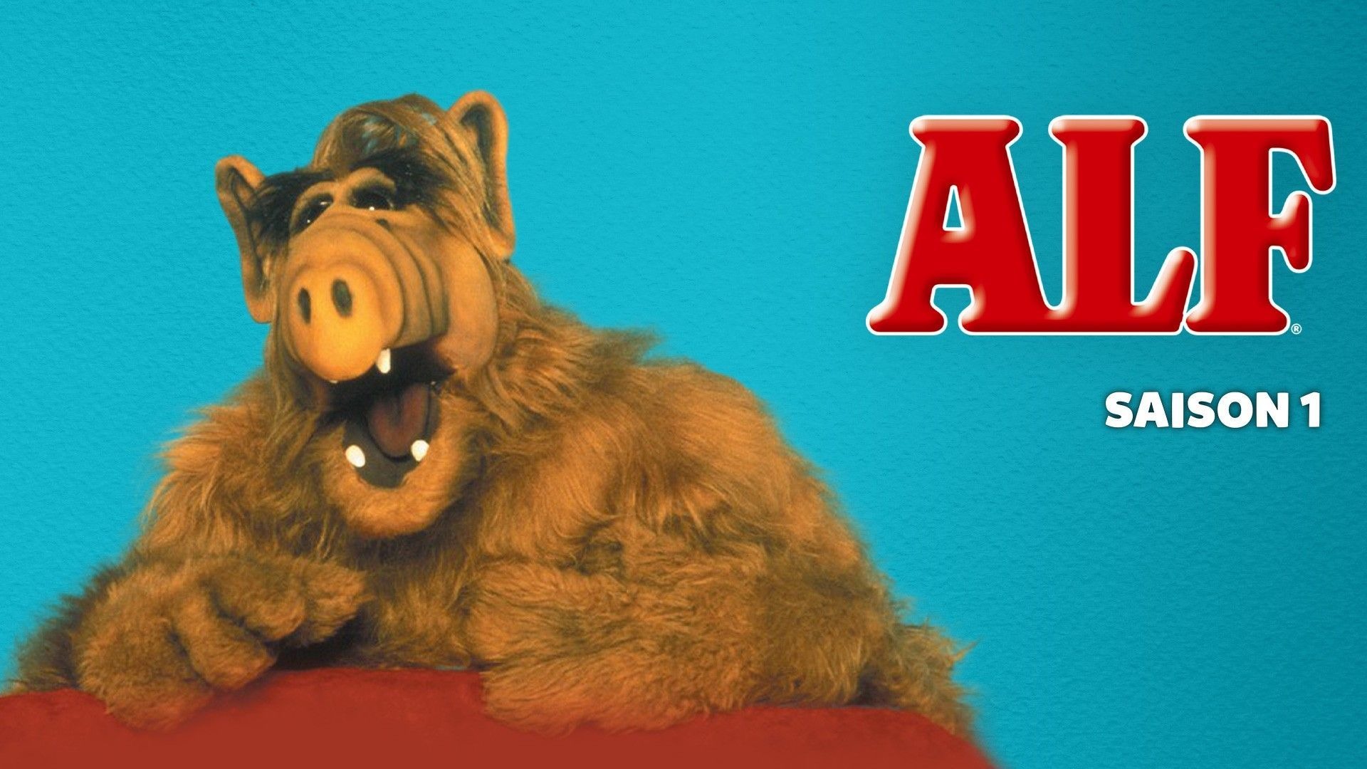 Alf - Saison 1 en streaming gratuit sur Gulli Replay