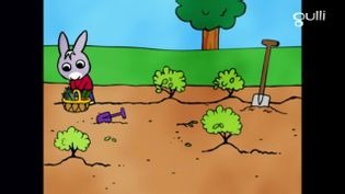 Trotro - Saison 2 en streaming gratuit sur Gulli Replay